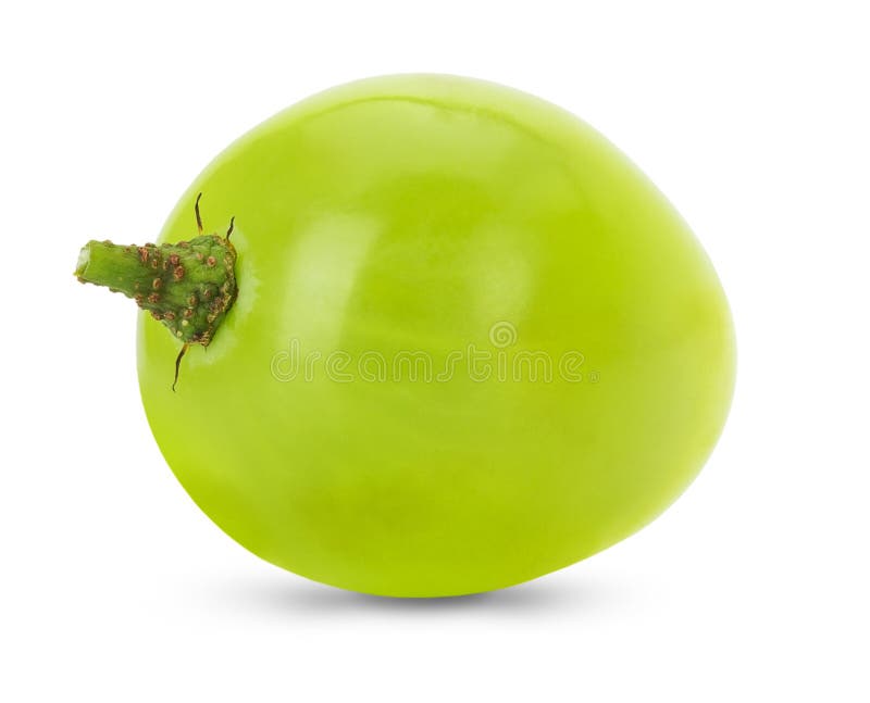 Green Single Grape Isolated On The White Background Stock Photo - Image ...