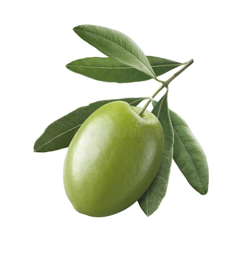 6,467 Single Olive Photos - Free & Royalty-Free Stock Photos from ...
