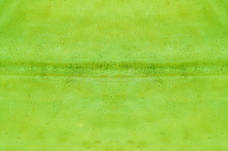 Green skin texture stock photo. Image of wallpaper, detail - 36204224