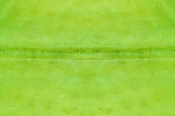 Squid Skin Texture Stock Photos - Free & Royalty-Free Stock Photos from ...