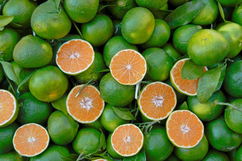Green Skinned Lemons with Orange Pulp Stock Photo - Image of organic ...
