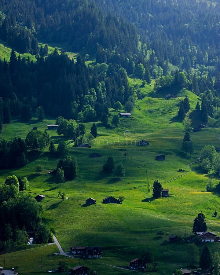 A Green Slope stock photo. Image of attraction, scenic - 17669242