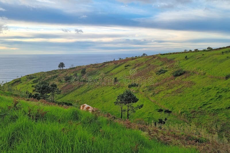 The Green Slope of the Island of Madeira. an Island in the Atlantic ...