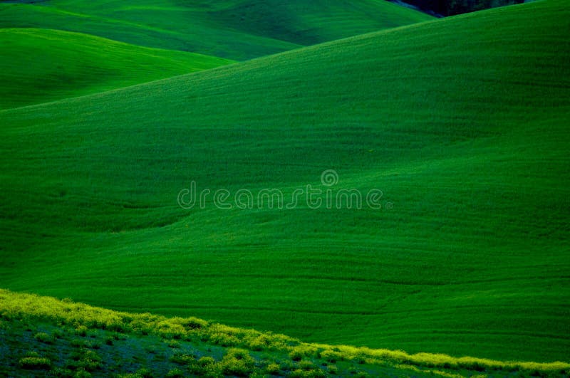 Green slopes stock photo. Image of farm, field, green - 2491906