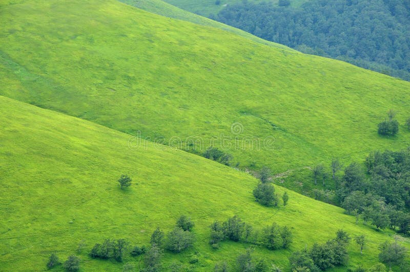 Green Slopes with Some Trees Stock Photo - Image of bicycle, green ...