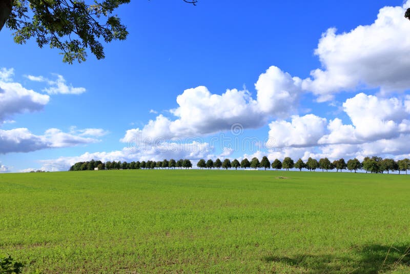 107 Sunny Sloping Green Lawn Stock Photos - Free & Royalty-Free Stock ...
