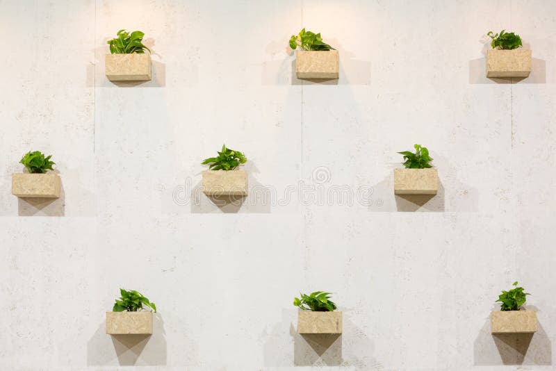 Green small plants stock image. Image of planters, fresh - 83354029