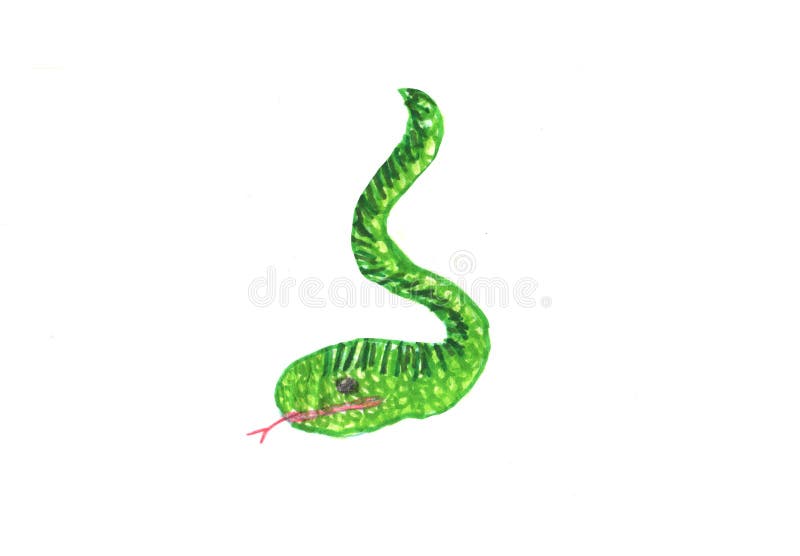 Green Snake. Child`s Drawing on Paper Stock Illustration - Illustration ...