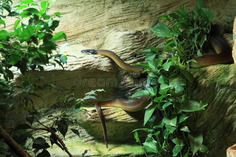 Water Body Albert Einstein Stock Photos - Free & Royalty-Free Stock ...