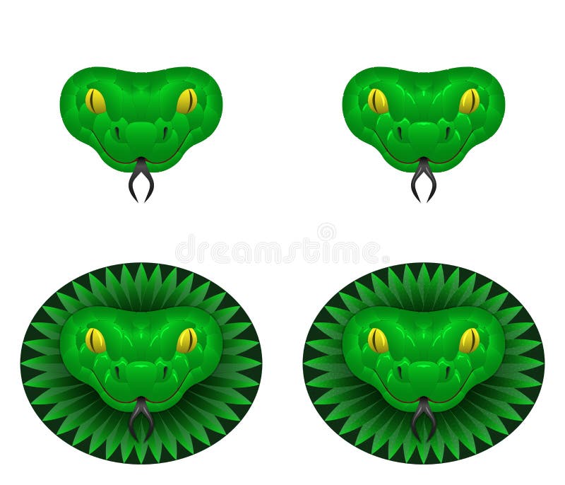 Green snake head stock vector. Illustration of abstract - 97427546