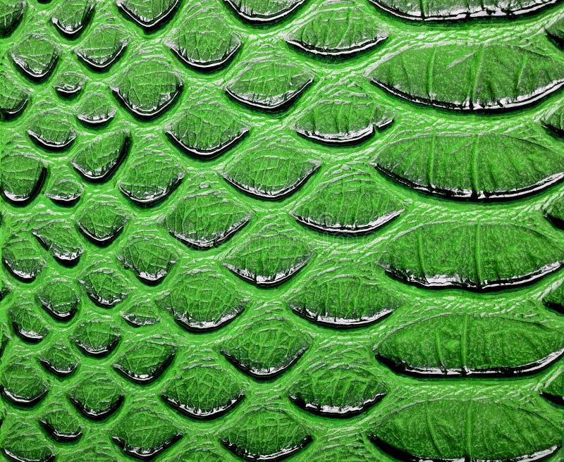 Green Snake Skin, As Background. Reptile Stock Photo - Image of black ...