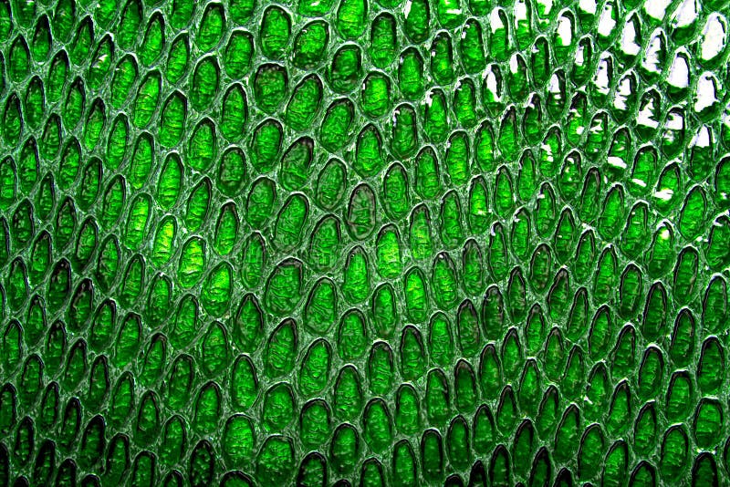 Green Snake Skin, As Background. Reptile Stock Photo - Image of black ...