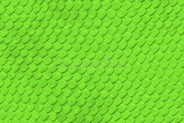 Green Snake skin pattern stock photo. Image of design - 12266002