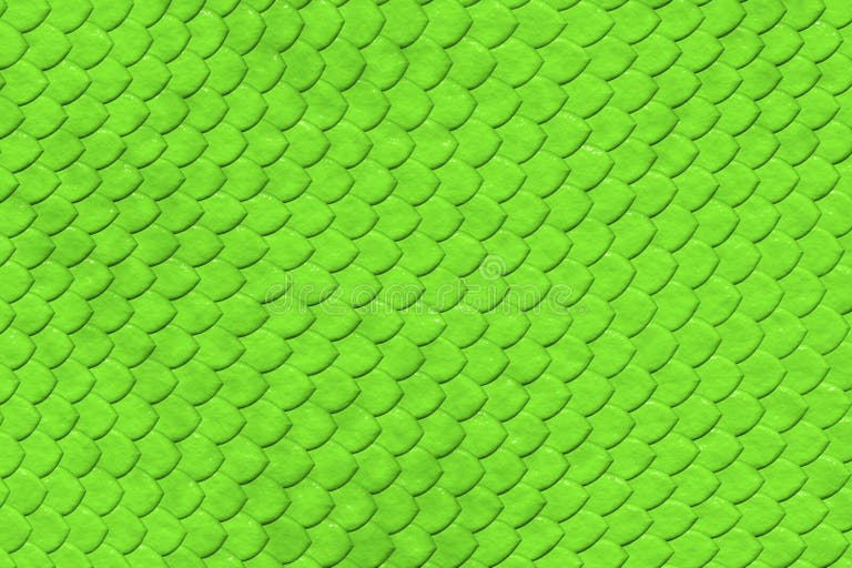 Green Snake skin pattern stock photo. Image of design - 12266002