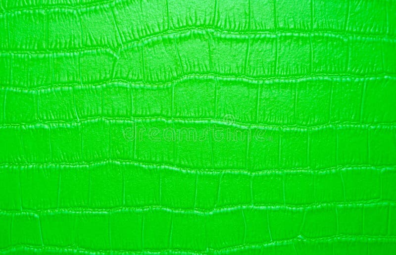 Green snake skin texture stock image. Image of rattlesnake - 24795497