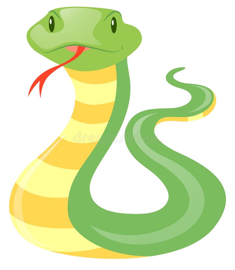 Green Snake On White Background Stock Vector - Illustration of mammal ...