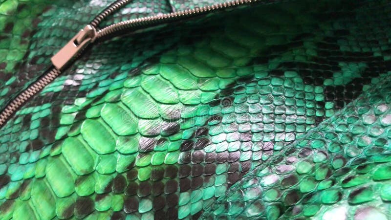 Green Snakeskin Python Texture. Fashion Luxury Leather Jacket Close Up ...