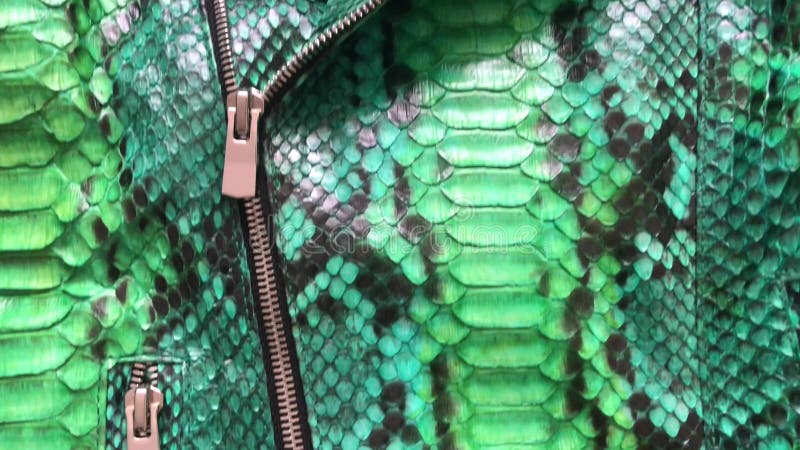 Green Snakeskin Python Texture. Fashion Luxury Leather Jacket Close Up ...