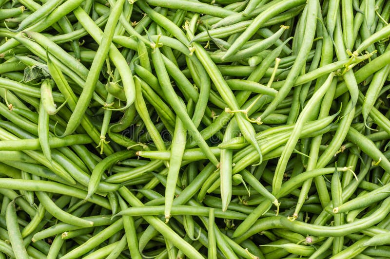 Green or Snap Beans on Display Stock Photo - Image of nutrition, pile ...