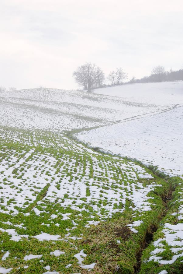 Green and snow stock image. Image of tree, hill, nature - 13359391