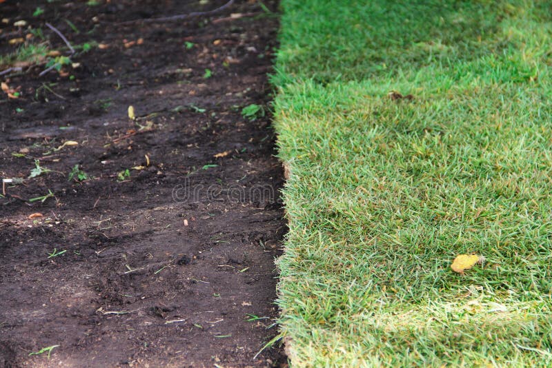 Golf Reel Stock Photos - Free & Royalty-Free Stock Photos from Dreamstime