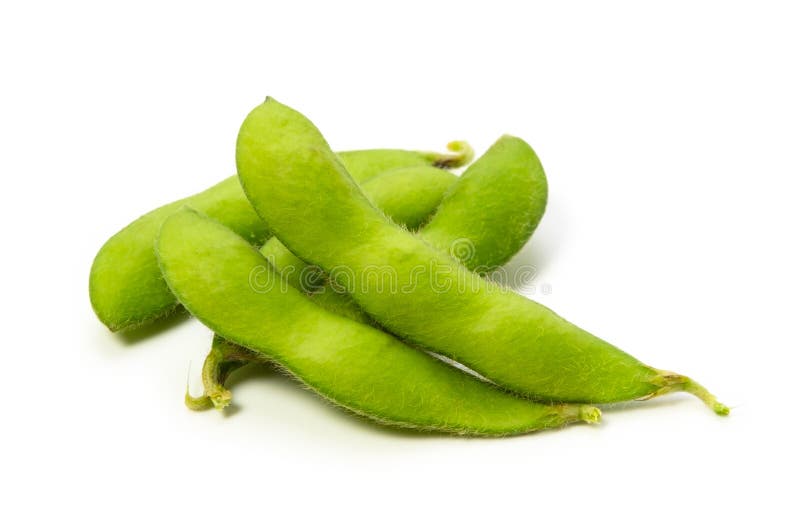 Green soy bean stock image. Image of health, cereal, healthy - 25179639