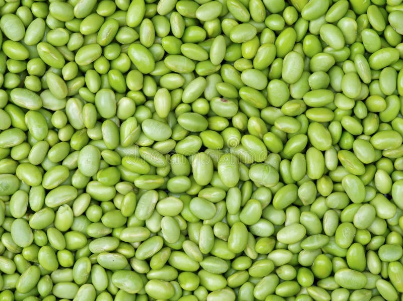 Green soy bean stock image. Image of bowl, tasty, edamame - 115433871