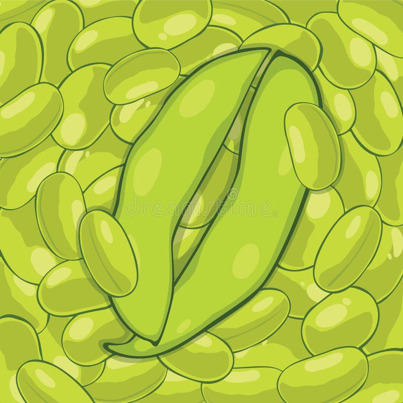 Soy Bean Pods Stock Illustrations – 397 Soy Bean Pods Stock ...