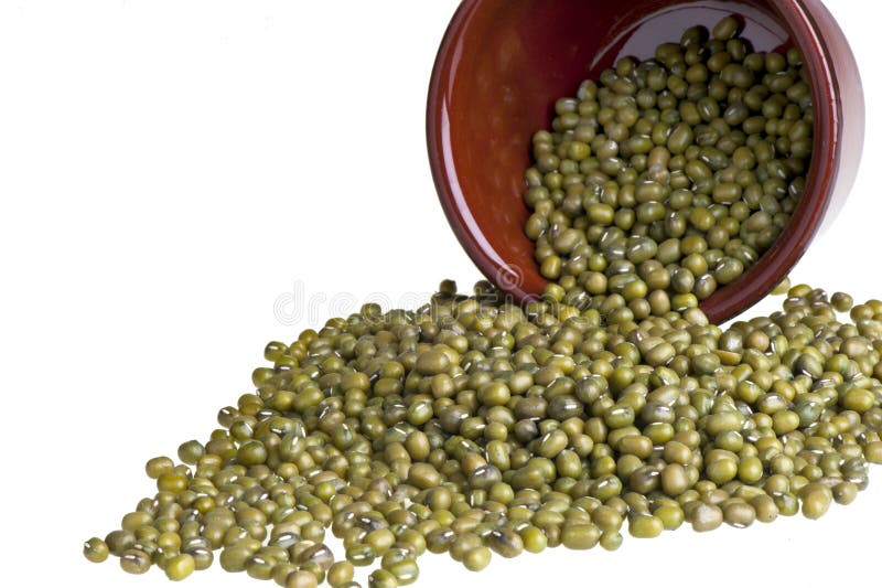 Green soya beans stock photo. Image of healthy, food - 19295954