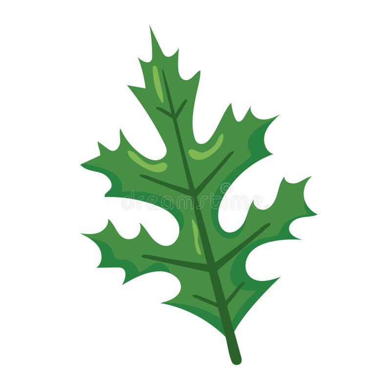 Green Spiky Sea Shell Sketch Stock Illustration - Illustration of ...