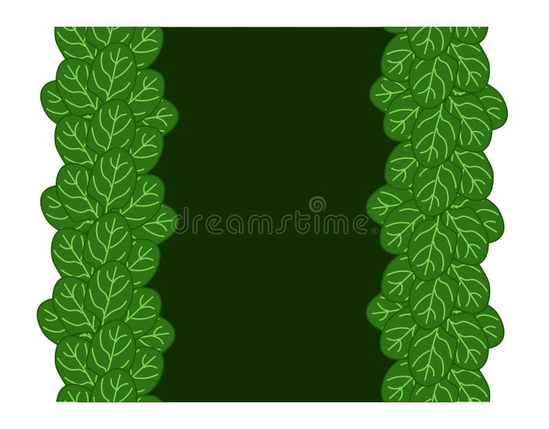 Green Spinach Leaves Frame Seamless Vertical Border Leafy Vegetables ...