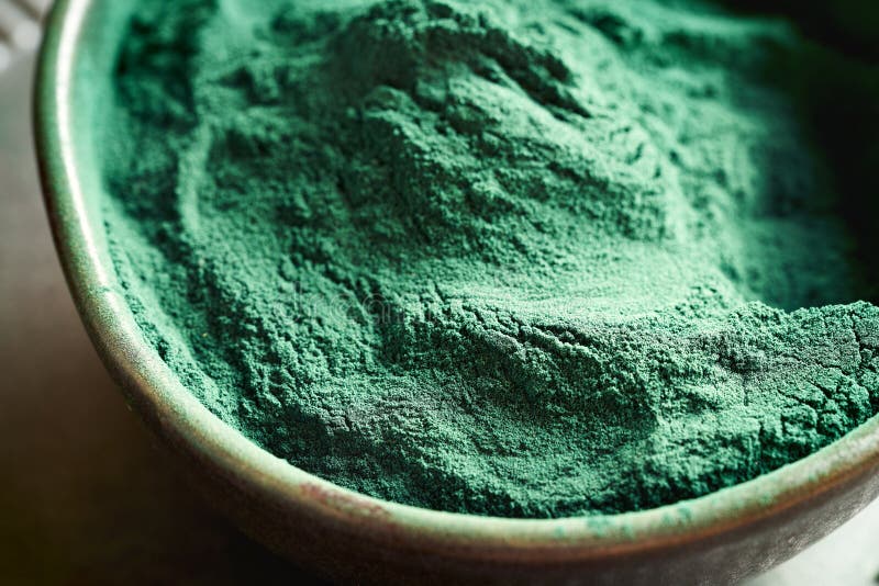 Green Spirulina Algae Powder in a Bowl Stock Illustration ...