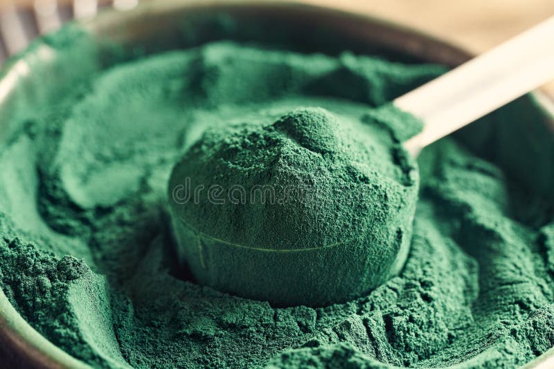 Green Spirulina Algae Powder in a Plastic Measuring Cup, Close Up Stock ...