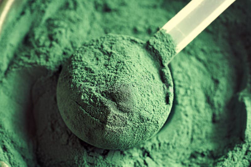 Green Spirulina Algae Powder in a Plastic Measuring Cup - Healthy ...