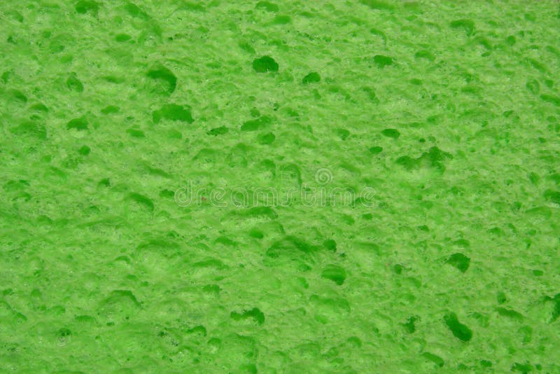 Green sponge stock photo. Image of bathroom, cleaning, sponge - 145468