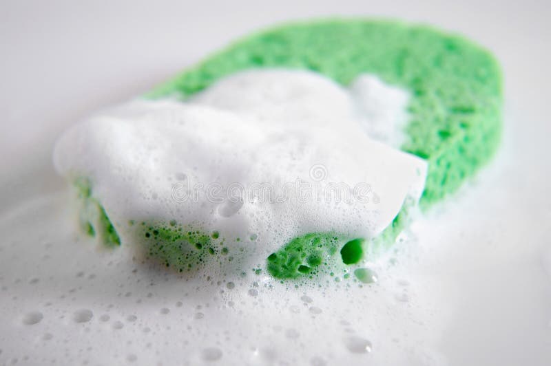 Green sponge stock photo. Image of spill, home, bubble - 586560