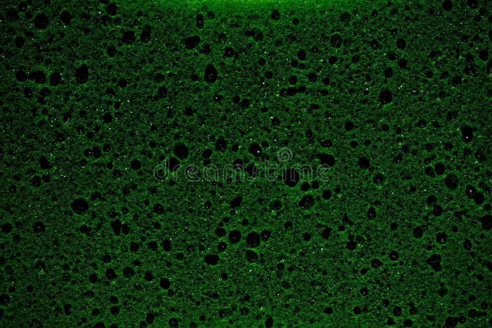 Green sponge background stock photo. Image of background - 28435922