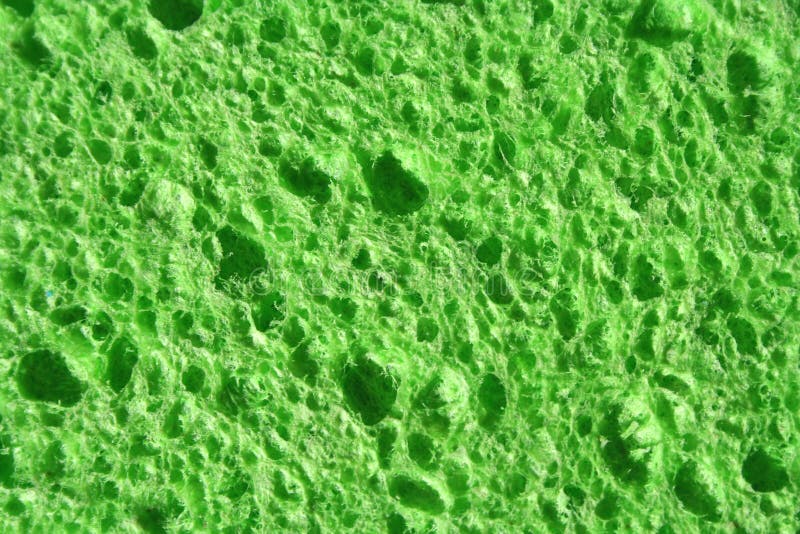 Green Sponge background stock photo. Image of kitchen - 3567108