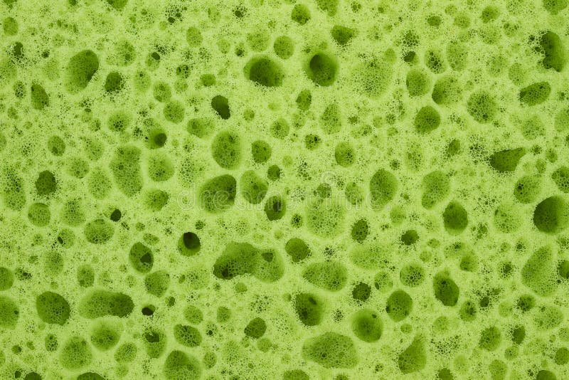Green sponge stock photo. Image of cyan, porous, abstract - 34579356