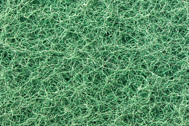 Green Sponge Detail Texture, Abstract Texture Background Stock Image ...