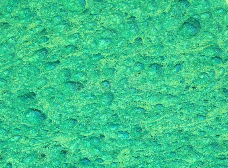 Green Sponge Texture Picture. Image: 665950