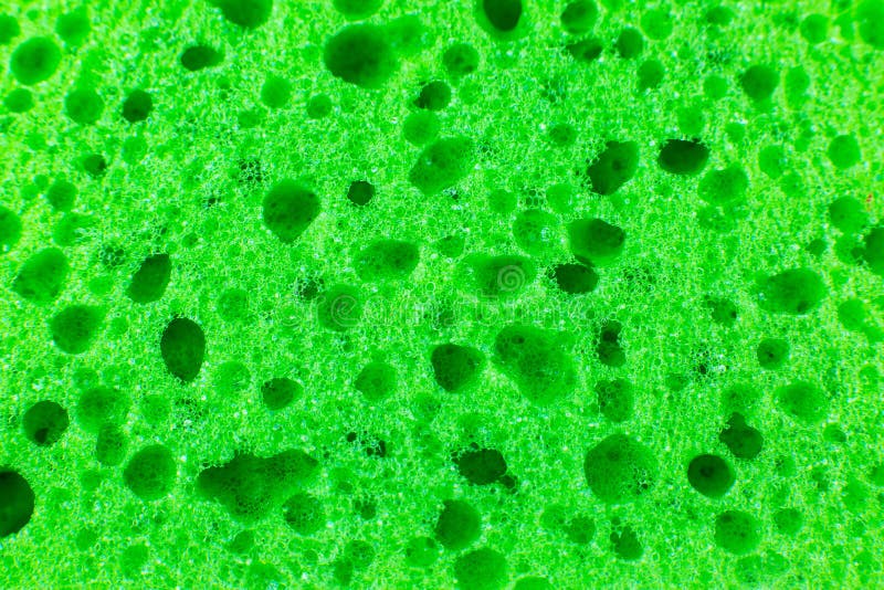 Green Sponge Texture Background. Close Up, Macro Photo Stock Image ...