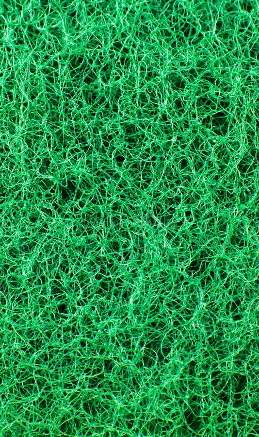 Green Sponge Texture Background. Close Up, Macro Photo Stock Photo ...