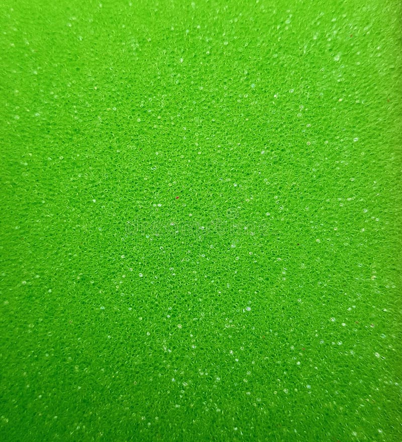 Green Sponge Texture. Background of Sponge in Green. Stock Photo ...