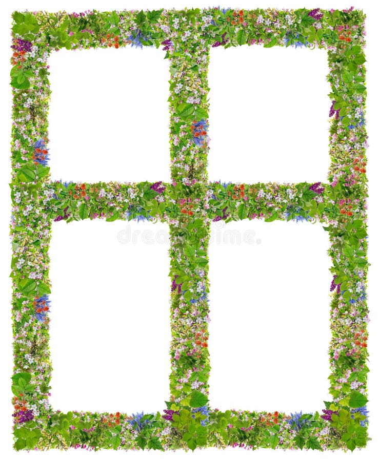 Green Spreng Eco window stock image. Image of happiness - 67137565