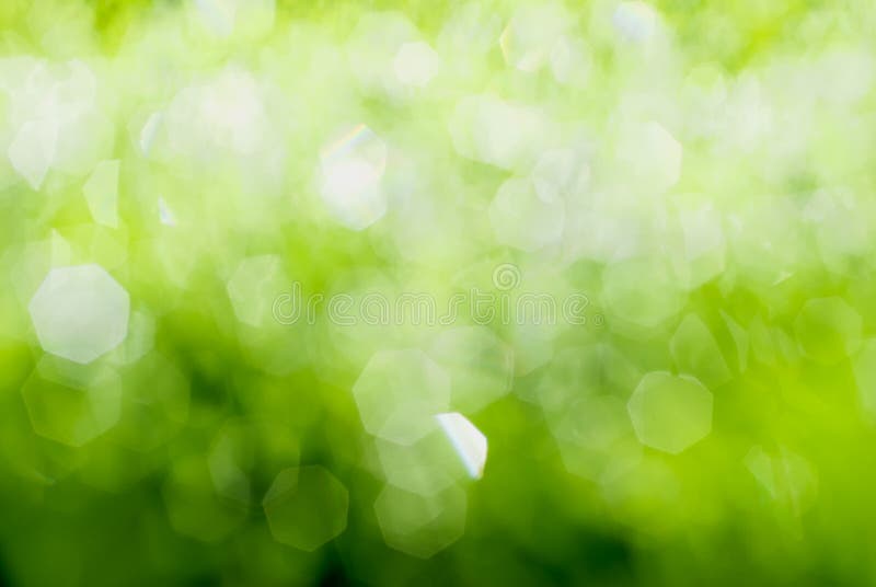 Spring background stock photo. Image of light, green - 28520382