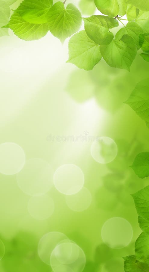 Green Spring Background with Bokeh Light for Cell Phone Wallpaper Stock ...