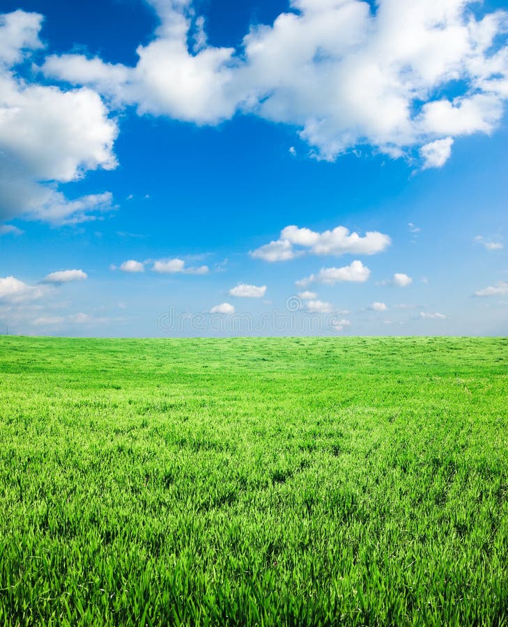 Green spring field stock image. Image of clouds, beautiful - 5422407