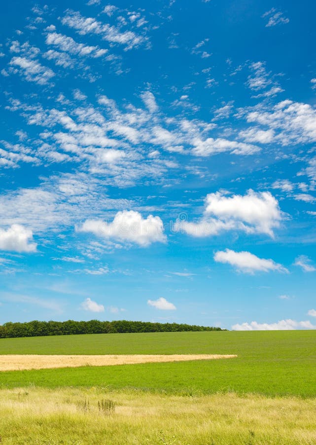 Green Spring Field and Blue Sky with Clouds Stock Image - Image of ...