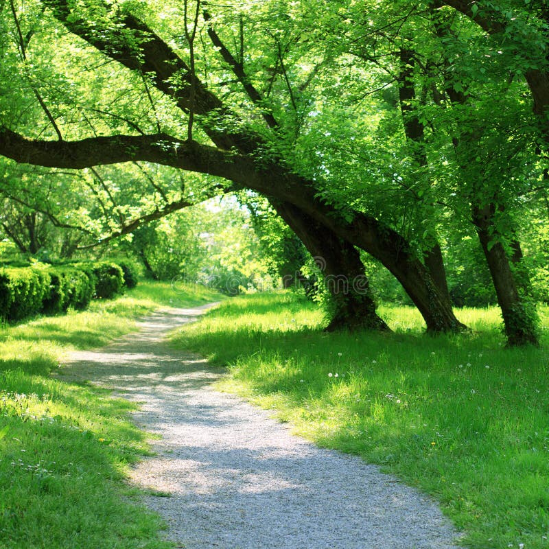 Waterfall in a Spring Forest Stock Photo - Image of beauty, background ...